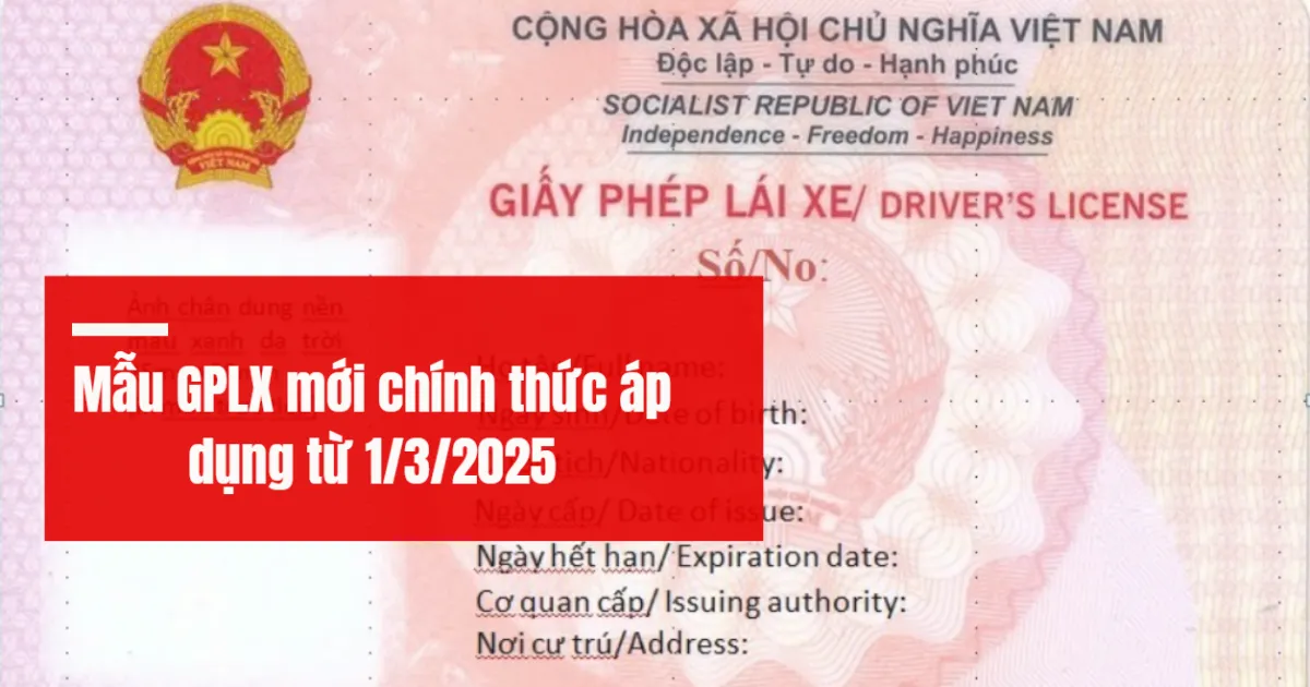 Mẫu GPLX mới chính thức áp dụng từ 1/3/2025: Điều bạn cần biết